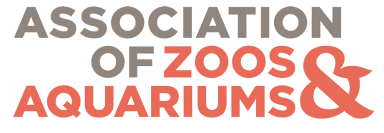 10 Modern Zoo Advertising Ideas to Drive Visitation